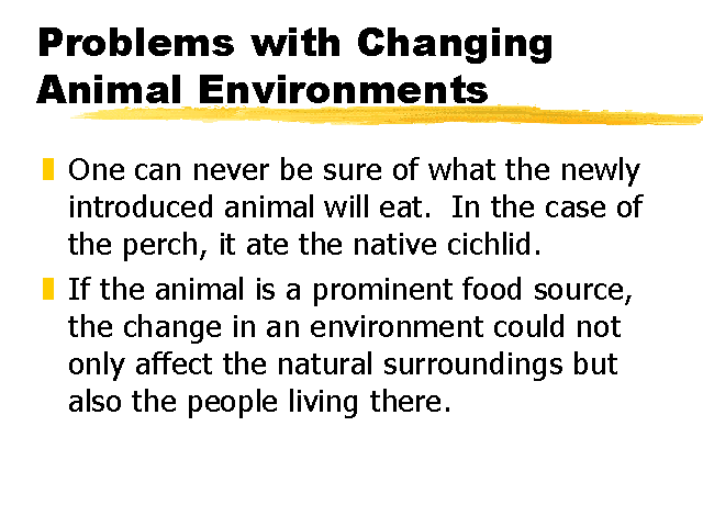 Problems With Changing Animal Environments problems-with-changing-animal-environments
